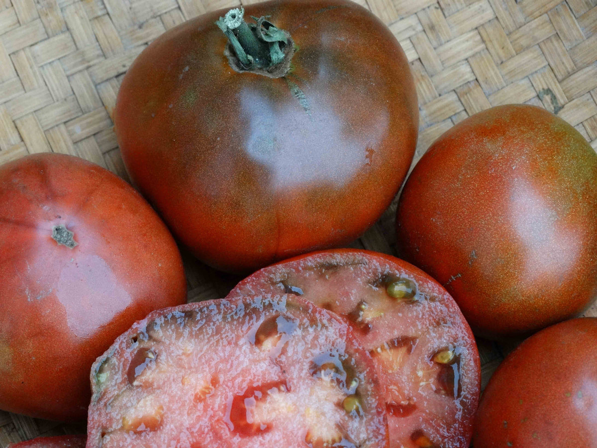 Brown Sugar Tomato – Heritage Harvest Seed