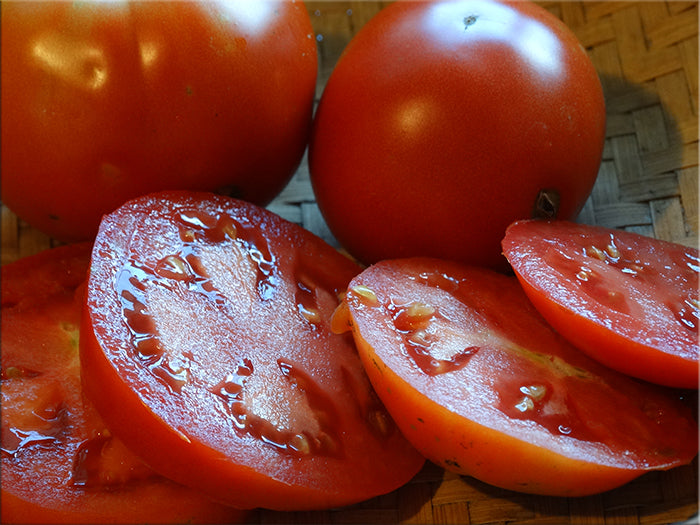 Lida Ukrainian Tomato – Heritage Harvest Seed
