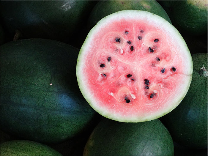 Will's Sugar Watermelon from Heritage Harvest Seed