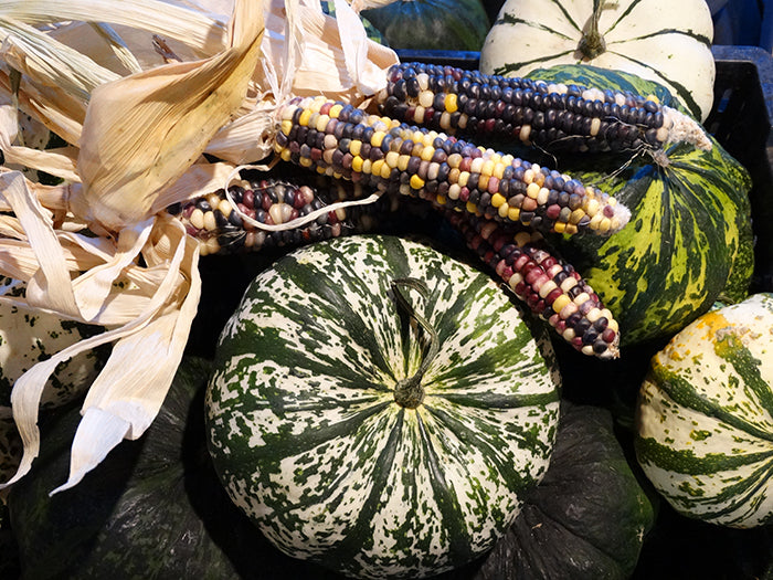 Three Sisters Heirloom Seed Collection from Heritage Harvest Seed