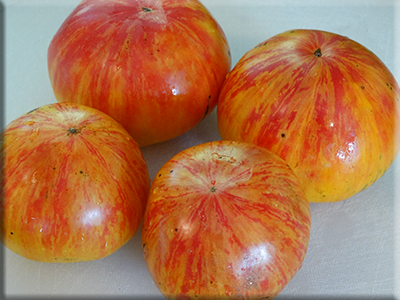 Copia Tomato from Heritage Harvest Seed