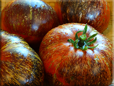 Dark Galaxy Tomato from Heritage Harvest Seed