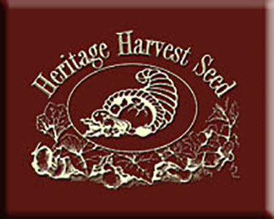 Ziar Poppy from Heritage Harvest Seed