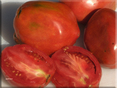Russian Big Roma Tomato from Heritage Harvest Seed