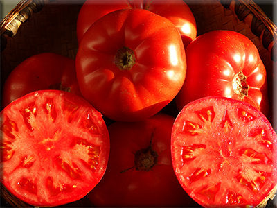 Heirloom Tomato Seeds - Canning – Heritage Harvest Seed