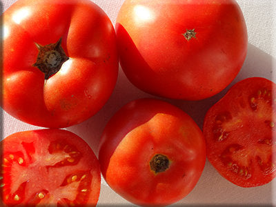 Trophy Tomato from Heritage Harvest Seed