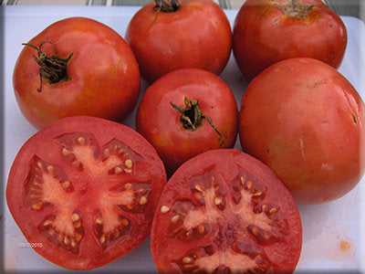 Valiant Tomato from Heritage Harvest Seed