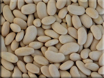 Heirloom Bean Seeds - All Varieties – Heritage Harvest Seed