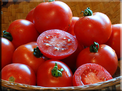 Polish Dwarf Tomato from Heritage Harvest Seed